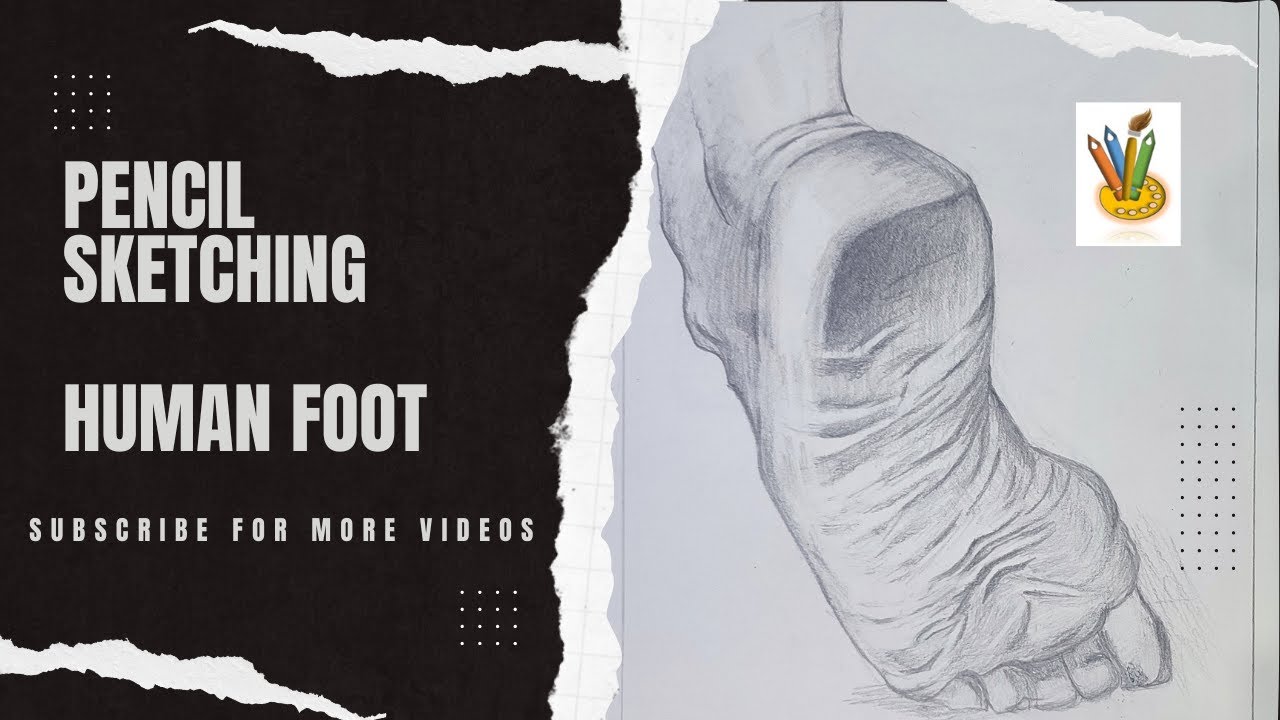 Step by Step Sketching for Beginners | Become an Expert | Learn to ...