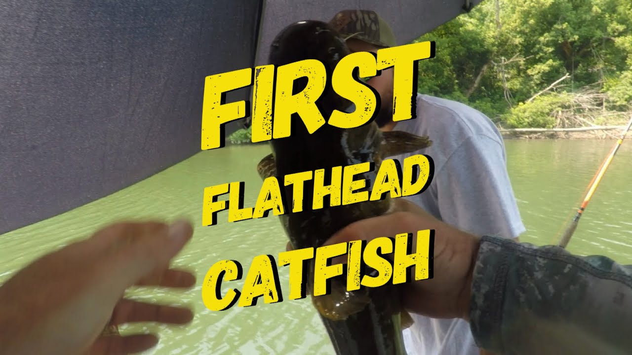 First Flathead Catfish - YouTube