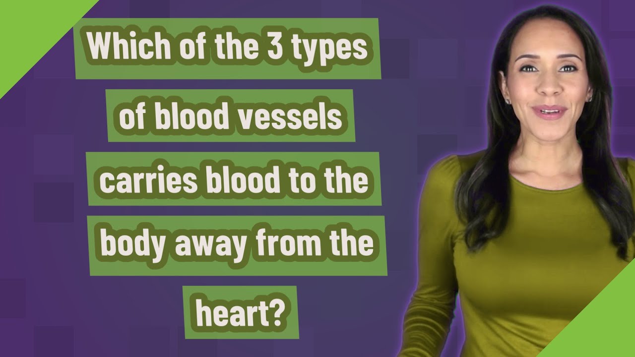Which of the 3 types of blood vessels carries blood to the body away ...