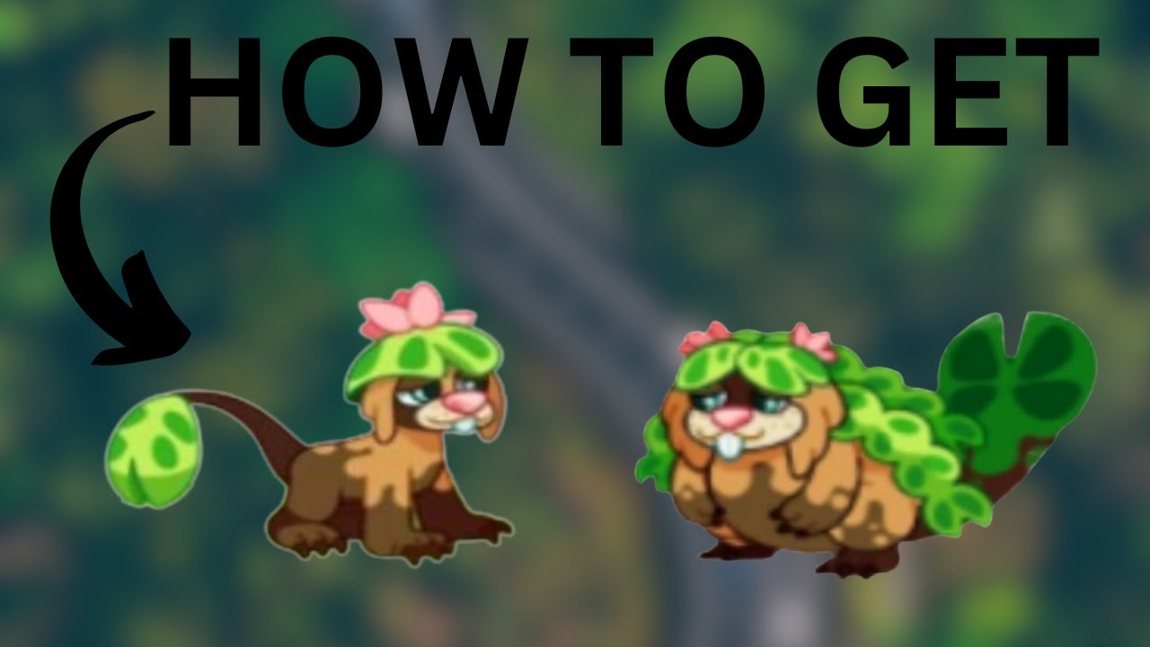 How To Get *MUCKSTER* and *MUCKINGO* in Prodigy 2025!! - YouTube