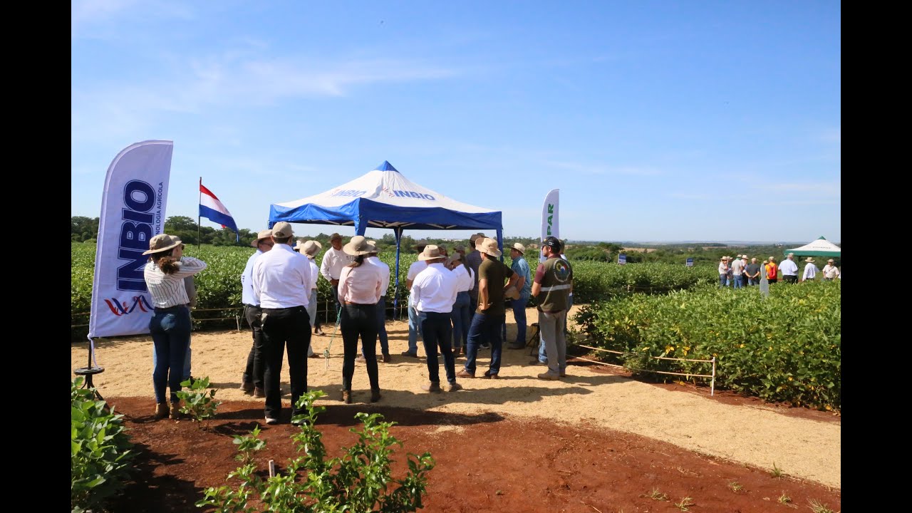 18 aniversario del INBIO, video institucional - YouTube