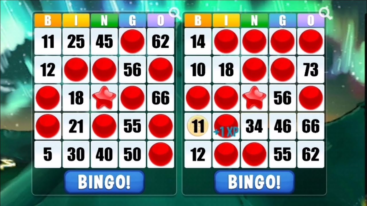 BINGO #68 / Did I Ever Win? - YouTube