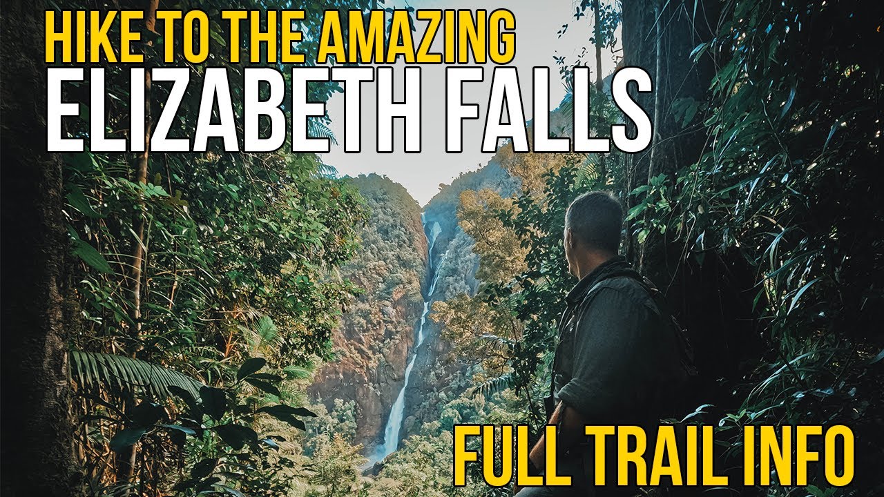 Hiking Trail to Elizabeth Falls, Tully National Park QLD - YouTube