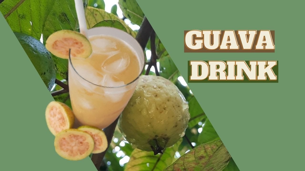 Guava Drink RECIPE (Jamaican Style) / Earth's Medicine - YouTube