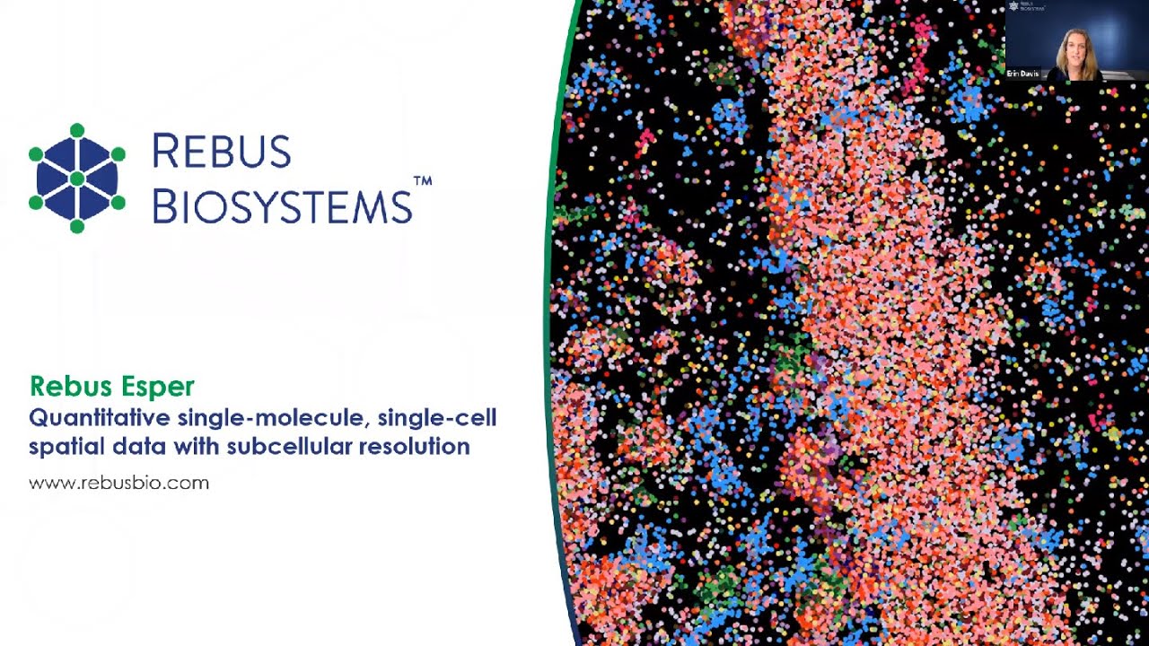 Quantitative single-molecule, single-cell spatial data with subcellular ...