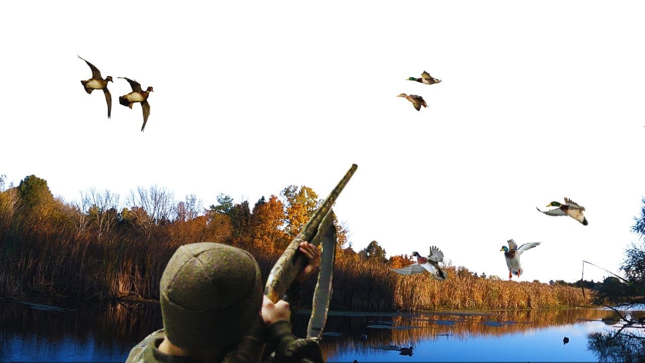 Duck Hunting for the First Time on Public Land! - YouTube