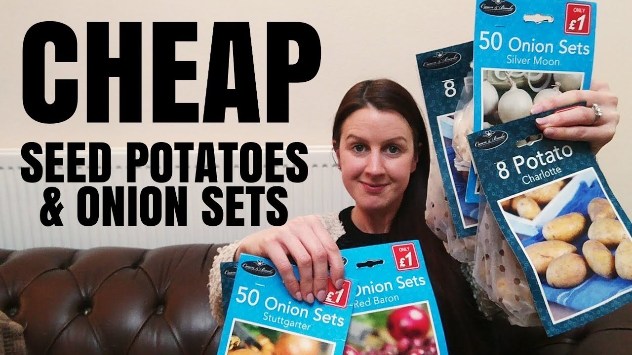 Gardening On A Budget - Get Cheap Seed Potatoes & Onion Sets From ...
