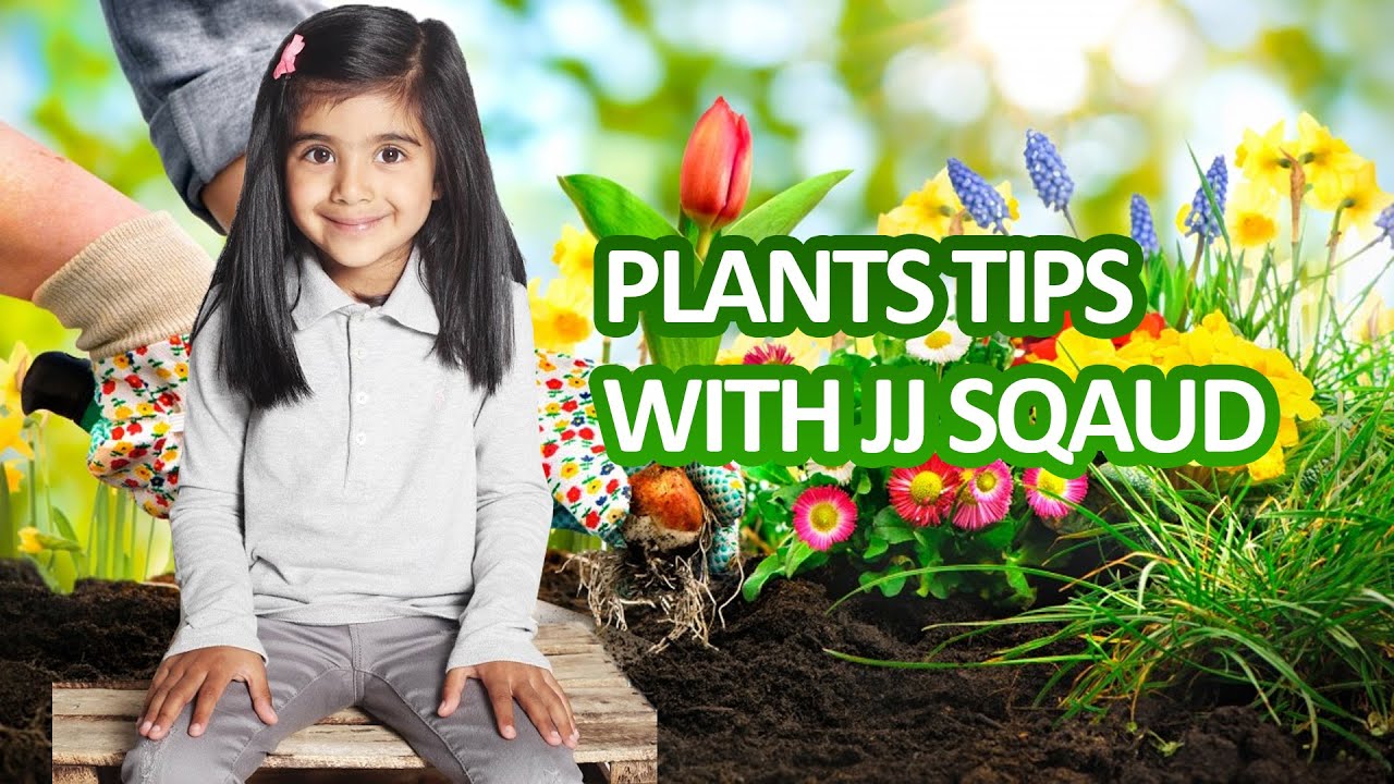 JJ and the Beanstalk - Jasmeh Plants Seeds (JJ Squad Vlogs) - YouTube