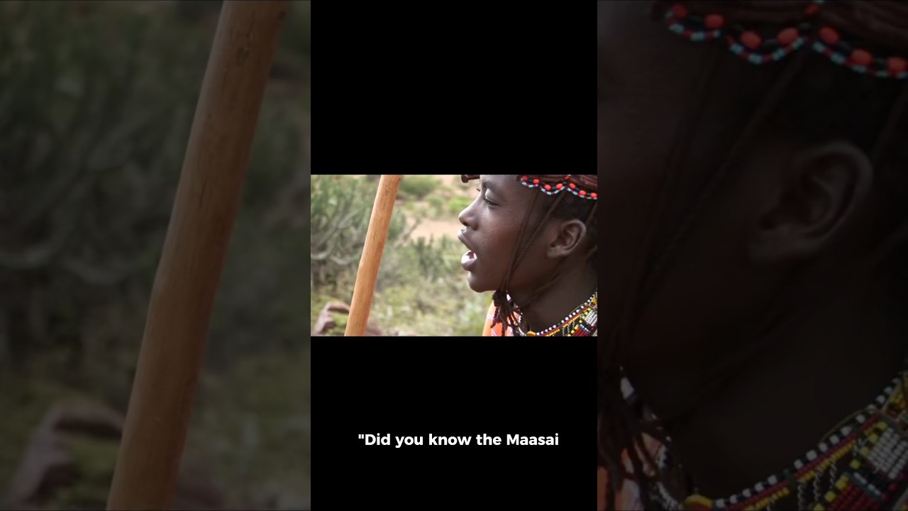 There is so much to learn about the Maasai peoples culture!!! #learning #culture #maasaitribe ...