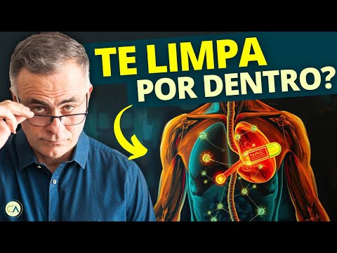NAC Te Limpa Por Dentro? A Verdade Sobre Detox, Metais Pesados e Como Tomar