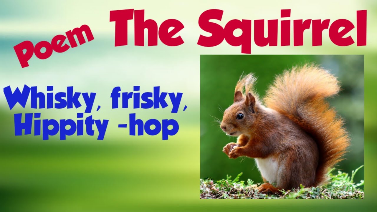 poemThe squirrel|poem whisky frisky|whisky frisky Hippity hop|grade2 ...