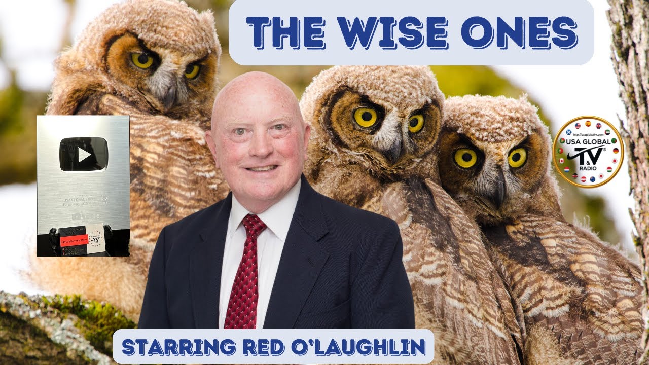 THE WISE ONES WELCOMES SUSAN SHANKIN OF PRECOCITY PRESS 📱 - YouTube