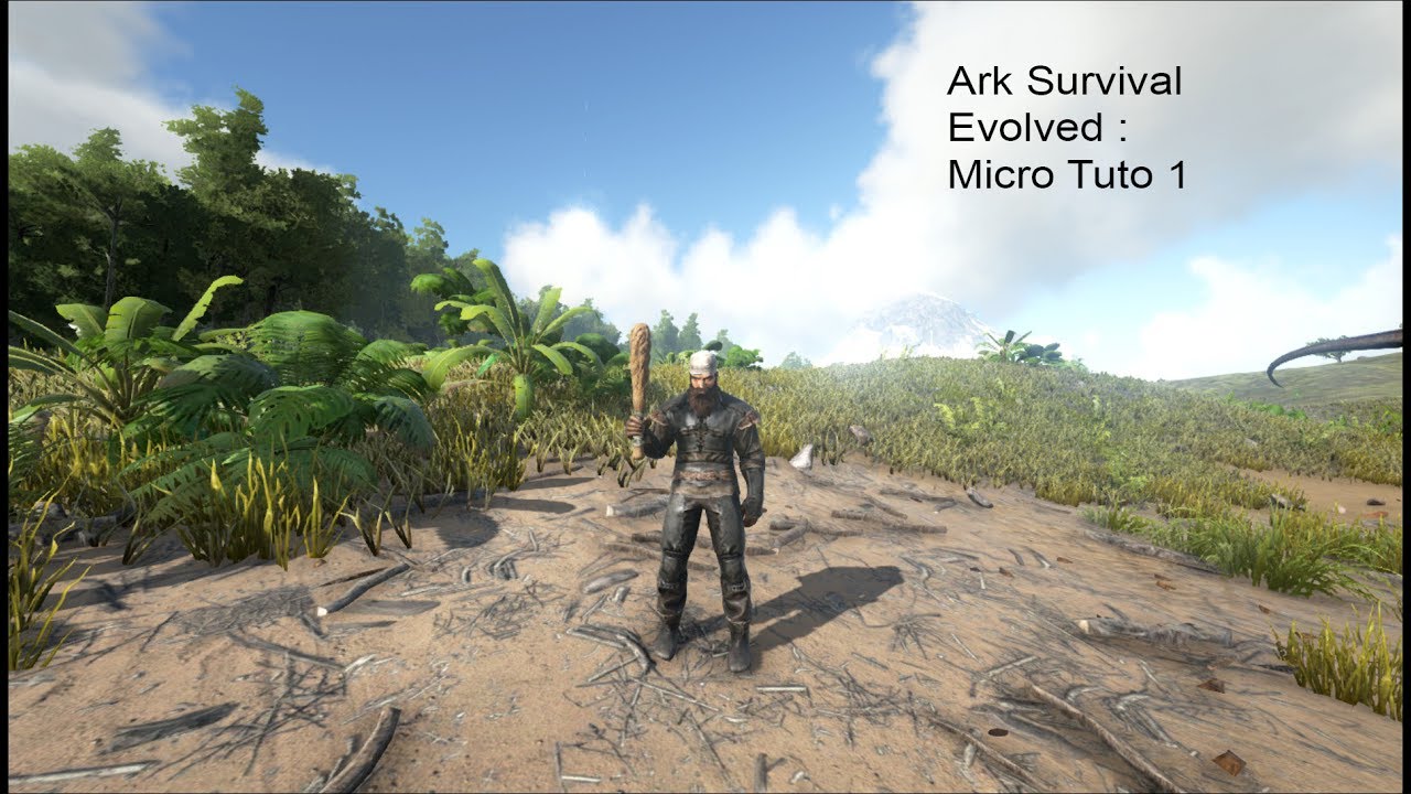 Ark Survival Evolved : Micro Tuto [FR] - YouTube