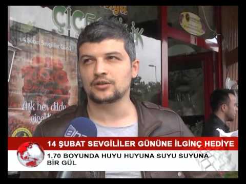 1,70 Boyunda, Huyu Huyuna Suyu Suyuna Bir Gül