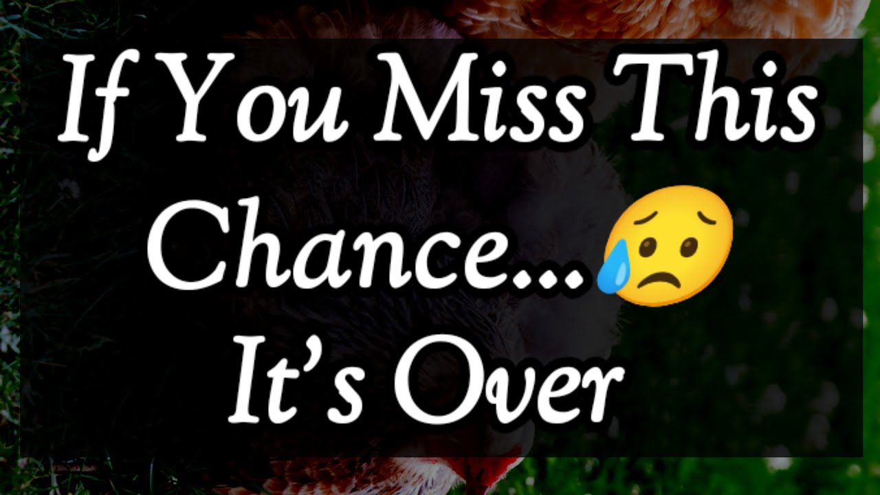 Dm to DF 🥰💌🌹 || If You Miss This Chance...😥It's Over 💕💌 || Love Letter💌 ...