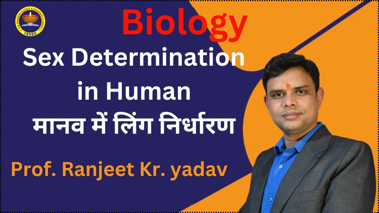 #Sex Determination in Human(मानव में लिंग निर्धारण)Chromosome in human ...