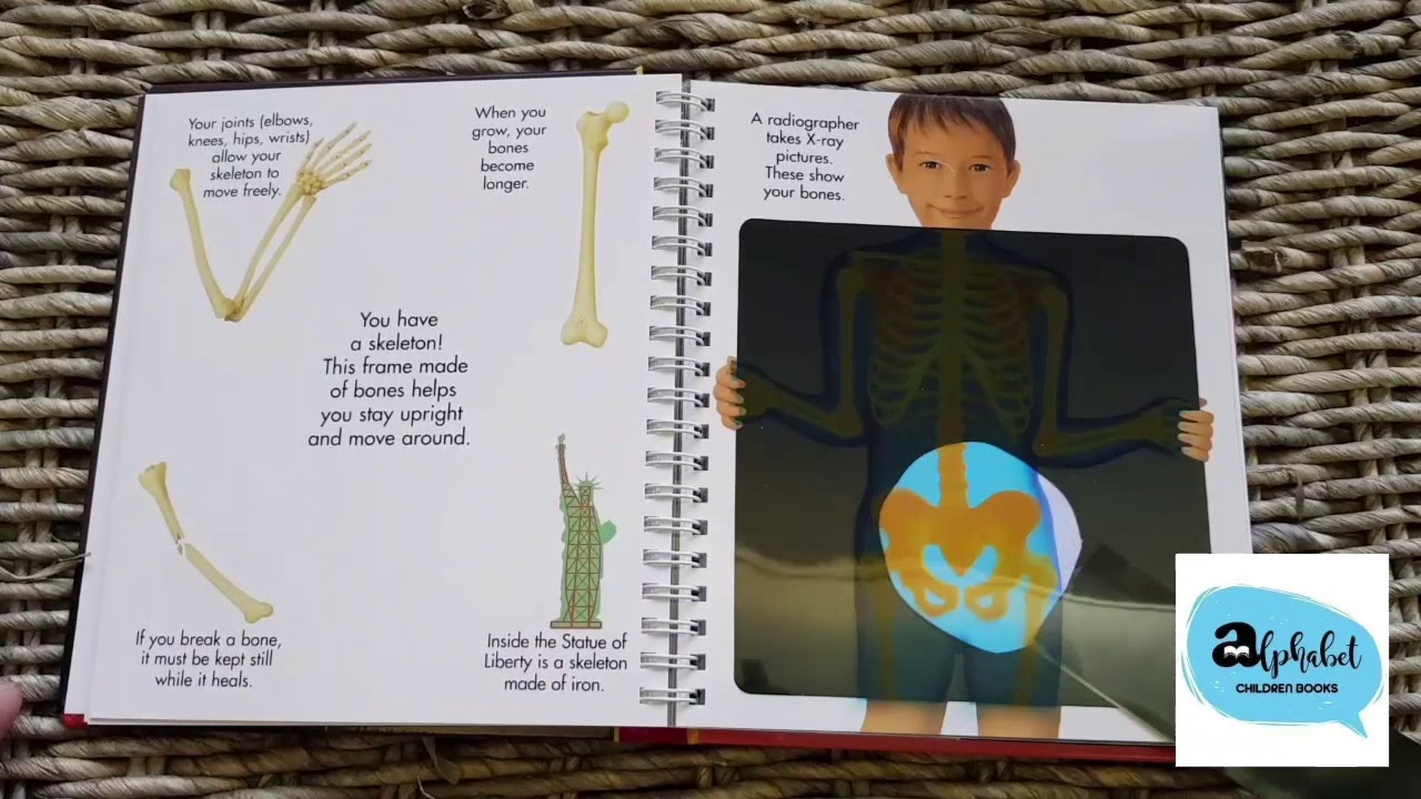 Inside the Body - Torchlight - YouTube