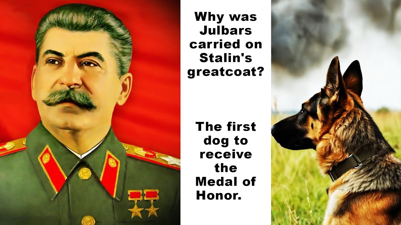 Djulbars | Why was the dog carried on Stalin's greatcoat? - YouTube