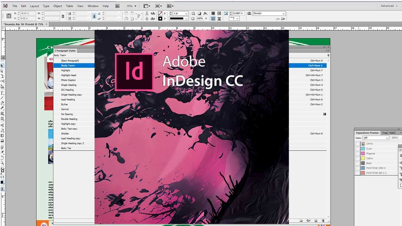 Easily Make Style sheet & paragraph setup in Adobe InDesign {Bangla ...
