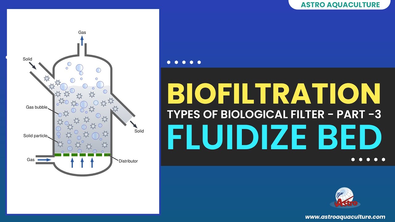 Bio Filter-Fluidize bed - YouTube