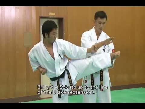 Kyokushin Kata Explanation - Gekisai Sho Explanation - YouTube