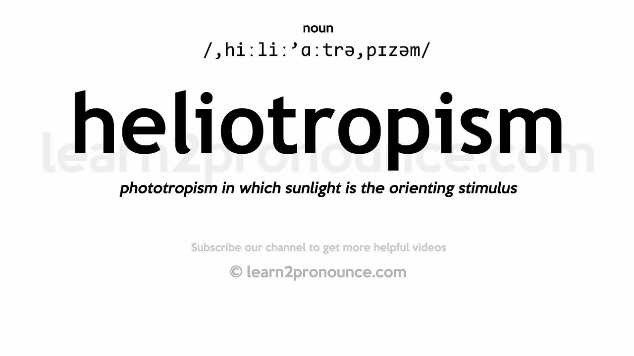 Pronunciation of Heliotropism | Definition of Heliotropism - YouTube