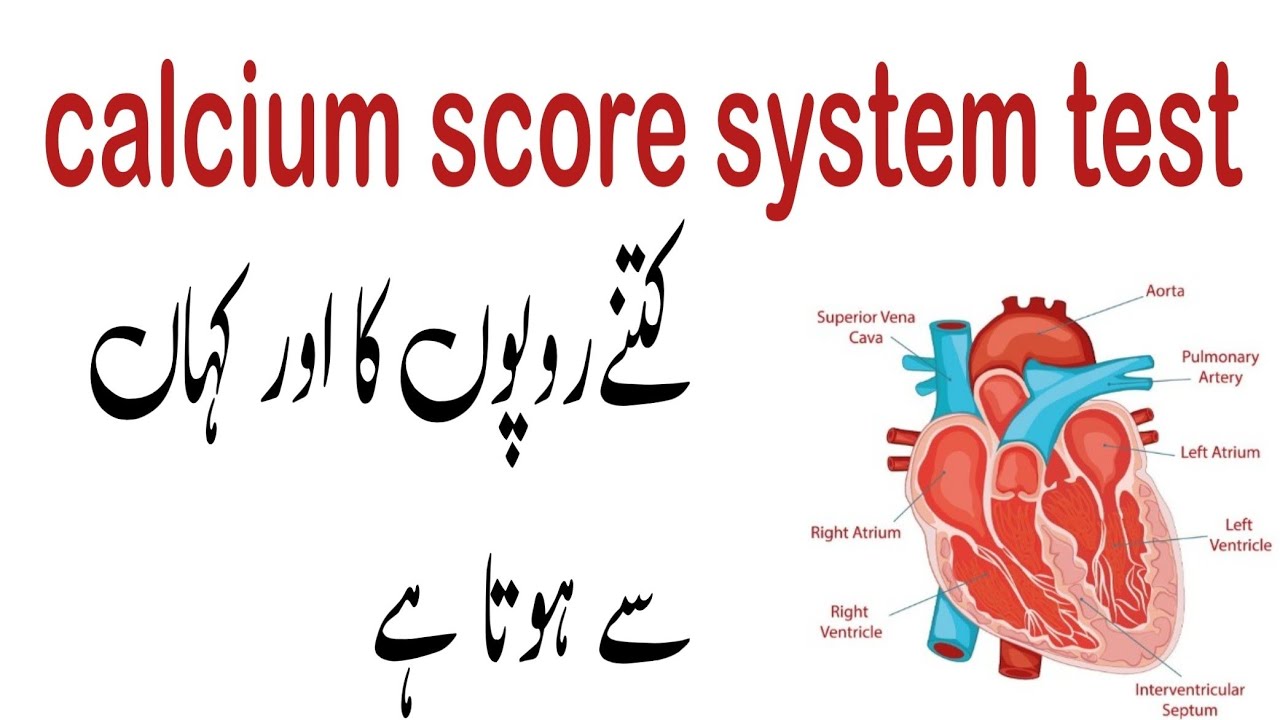 calcium scoring system test price - YouTube
