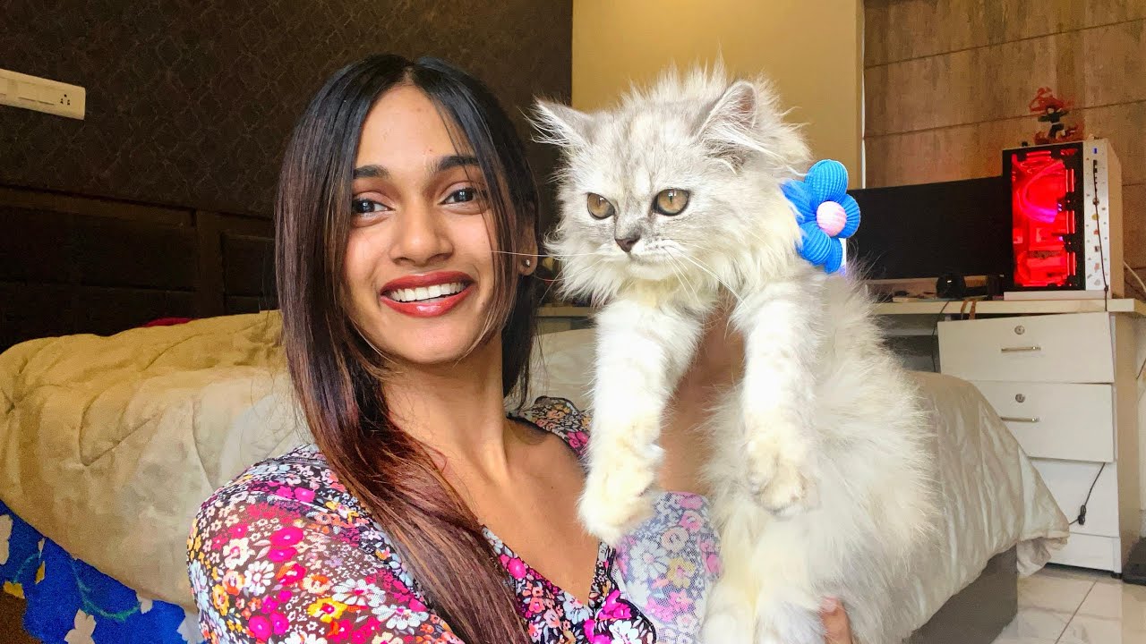 DAY IN MY LIFE AS A CAT MOM😻😻😻| DAY IN MY LIFE l DUDyX - YouTube
