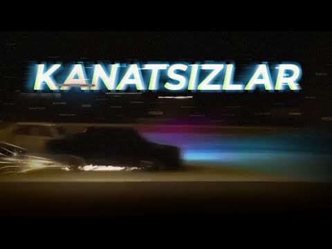 KUŞLAR - BÖLÜM 1 | KANATSIZLAR (created by Özgür Meriç)