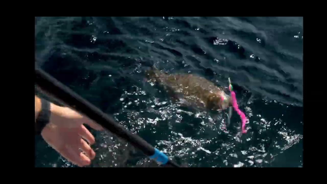 M3Tackle Floating Heads Fluke Fishing - YouTube