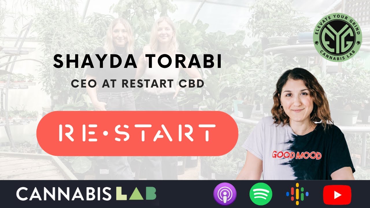Shayda Torabi, CEO at Restart CBD - YouTube