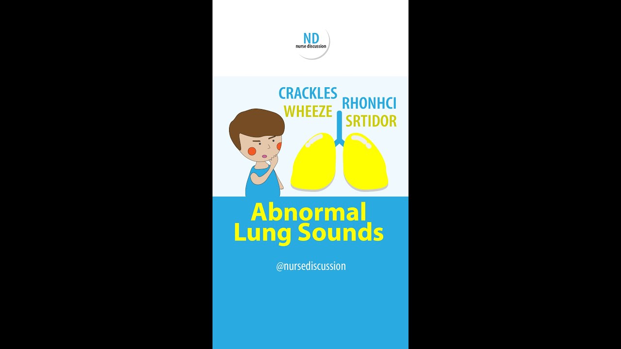 abnormal lung sounds nurse discussion - YouTube