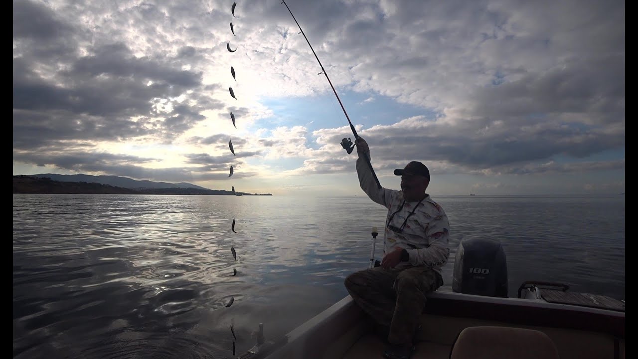 İSTAVRİT AVI , ÇAPARİ İLE , FİSH HUNTİNG , MARMARA DENİZİ , HUNTER 77 ...