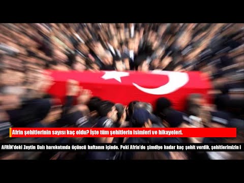 Afrin şehitlerinin sayısı kaç oldu? İşte tüm şehitlerin isimleri ve hikayeleri.