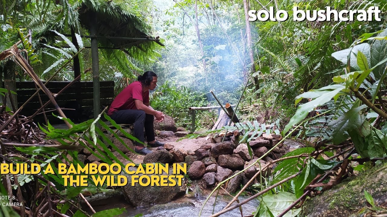 Build a bamboo cabin in the wild forest | solo bushcraft | Build a camp ...
