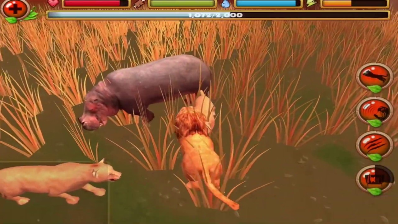 Safari Simulator: Lion - YouTube