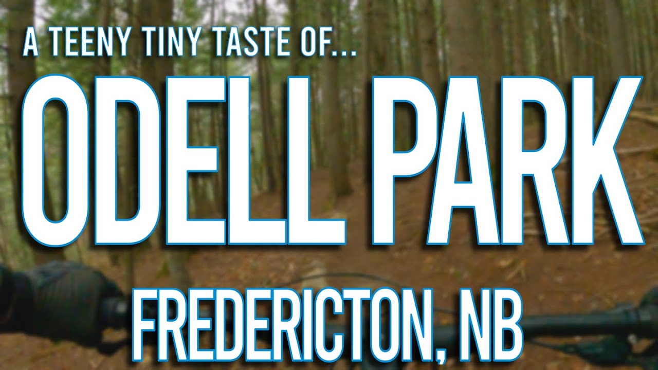 Can You MTB Right In The City? Yes! Well, For Now - Odell Park ...