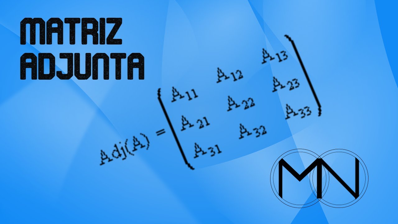 ADJUNTA DE UNA MATRIZ 3x3 | ADJUNTO Y MENOR DE UN ELEMENTO | EJERCICIO RESUELTO + BACHILLERATO ...