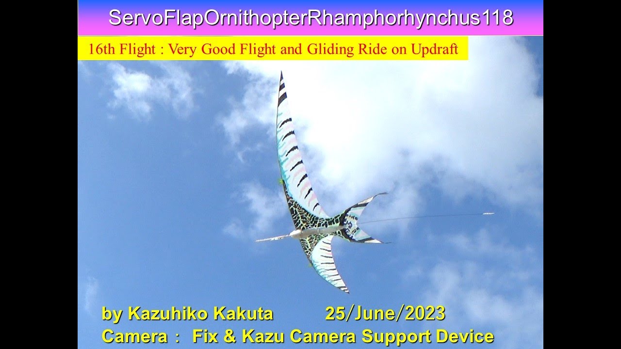 サーボ駆動翼竜型羽ばたき機 SFORhamphorhynchus118 43g :16th very Good Flight and ...