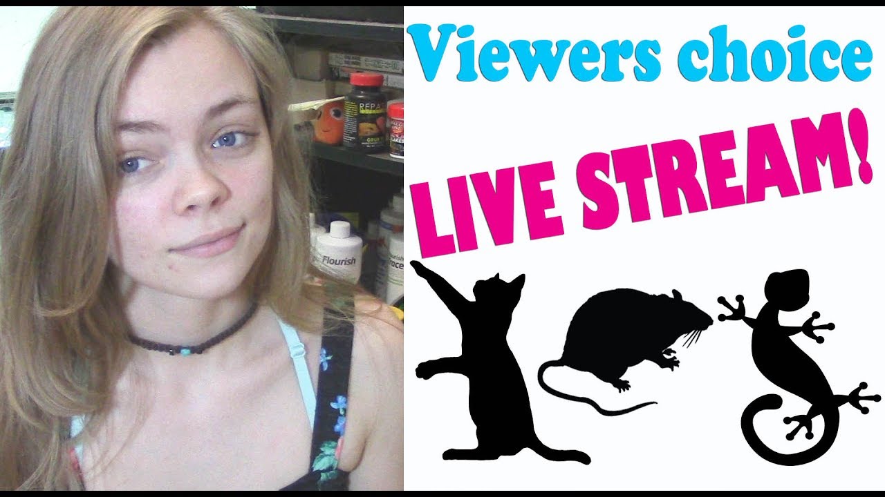 Viewer choice! -Pet Adventures Live Stream PART 2 - YouTube