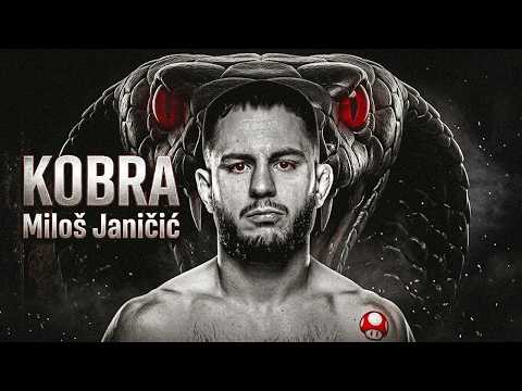 KOBRA (Miloš Janičić) - MENTALITET | MMA Motivacija (Balkan Trap Banger) 🐍🔥