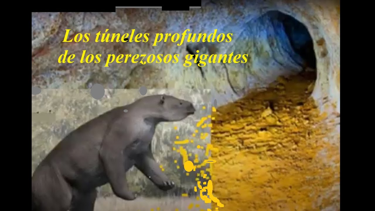 Los túneles profundos de los perezosos gigantes / The deep tunnels of ...