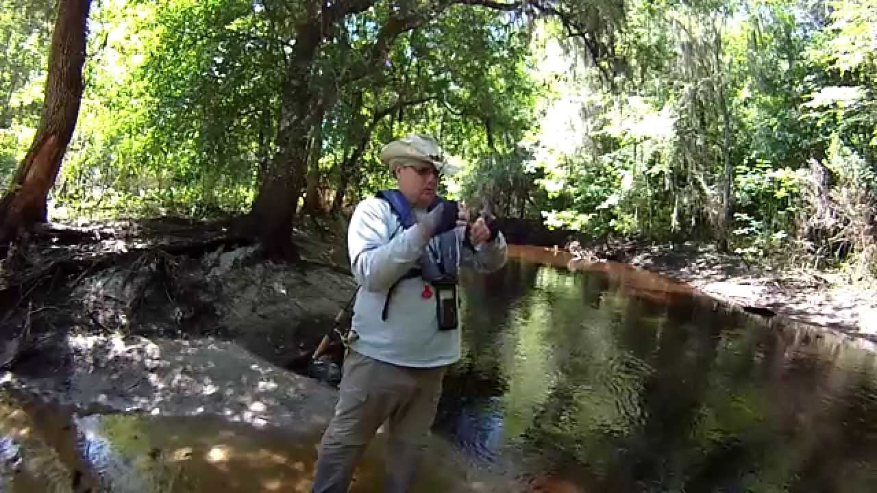 Kayaking and Fishing the Peace River March 2015 - YouTube