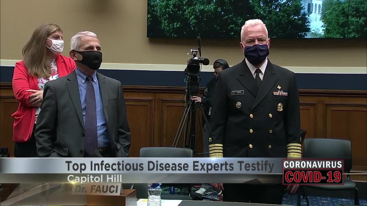 Top Infectious Disease Experts Testify - YouTube