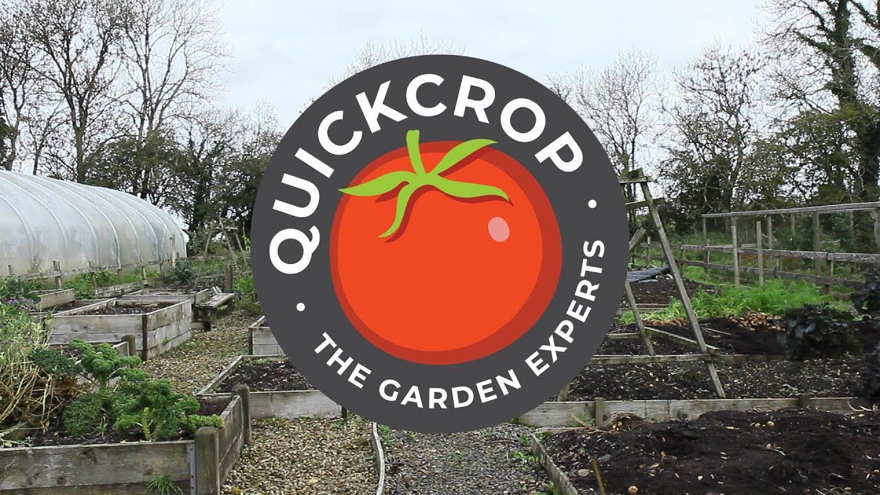 Happy Christmas from Quickcrop! - YouTube