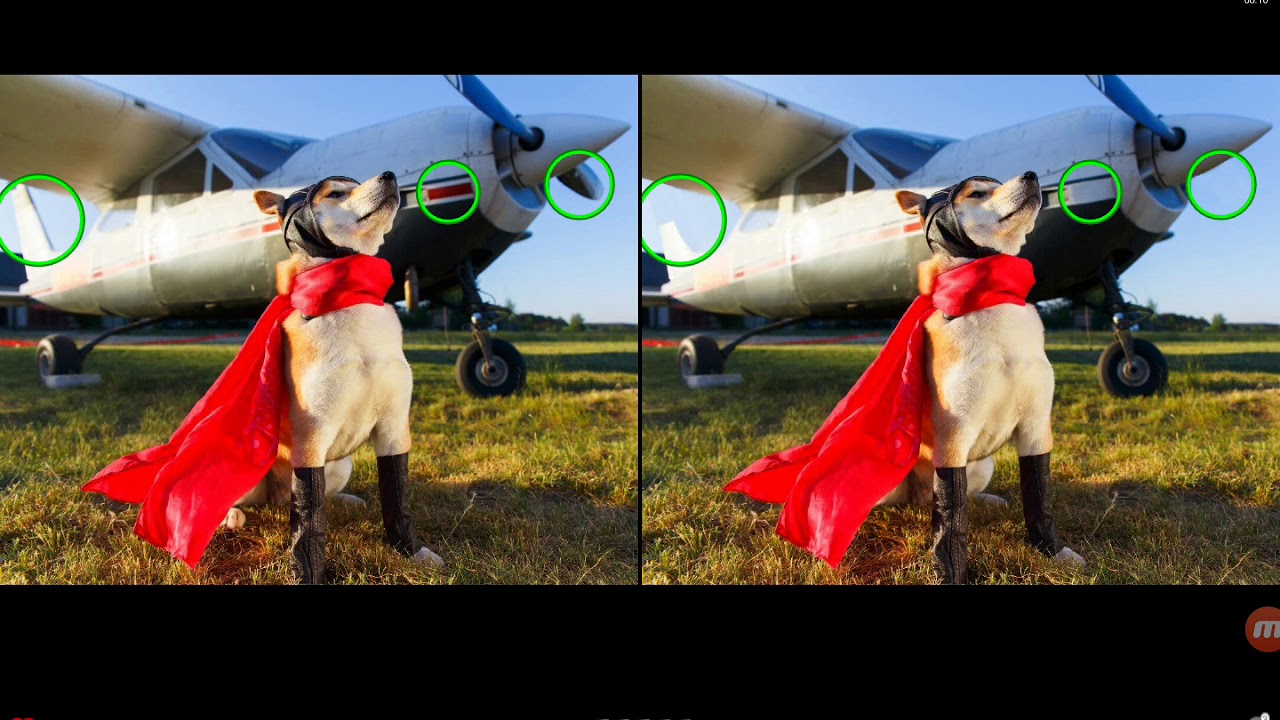 Find the Difference Level 200 - YouTube