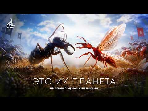 Империя под нашими ногами. Как муравьи захватили Землю
