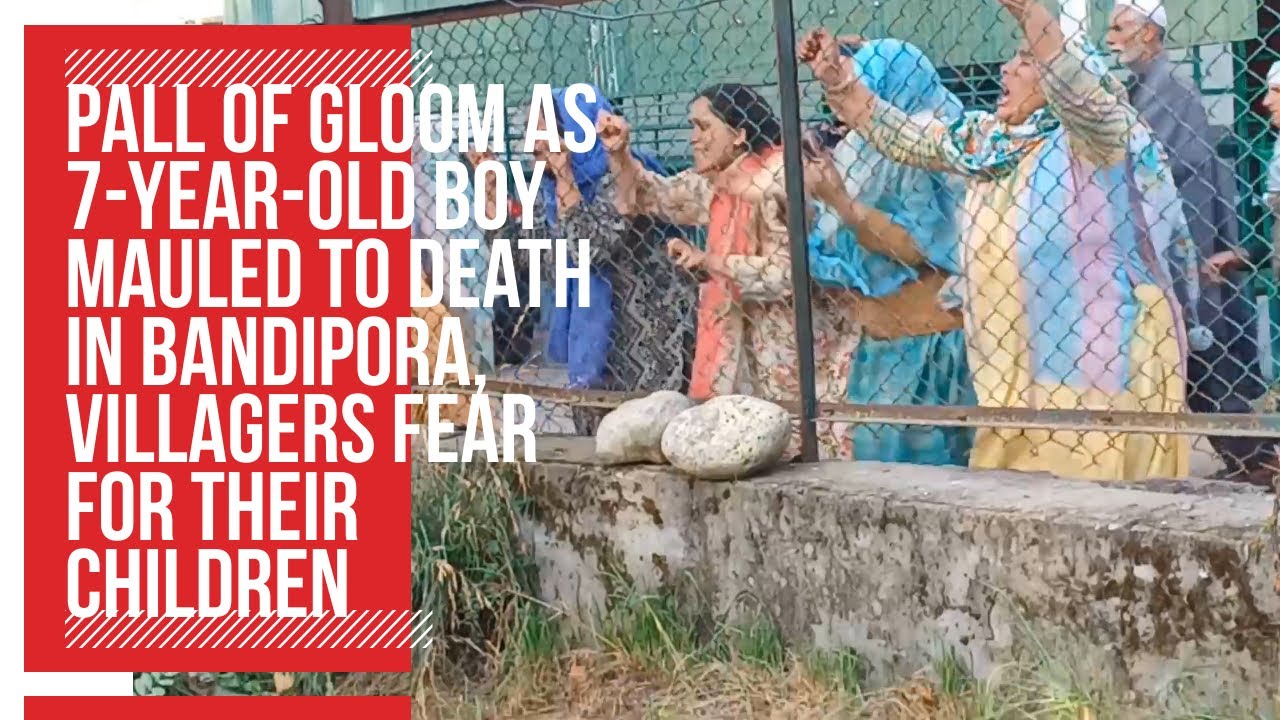 Pall of gloom as 7-year-old boy mauled to death in Bandipora, villagers ...