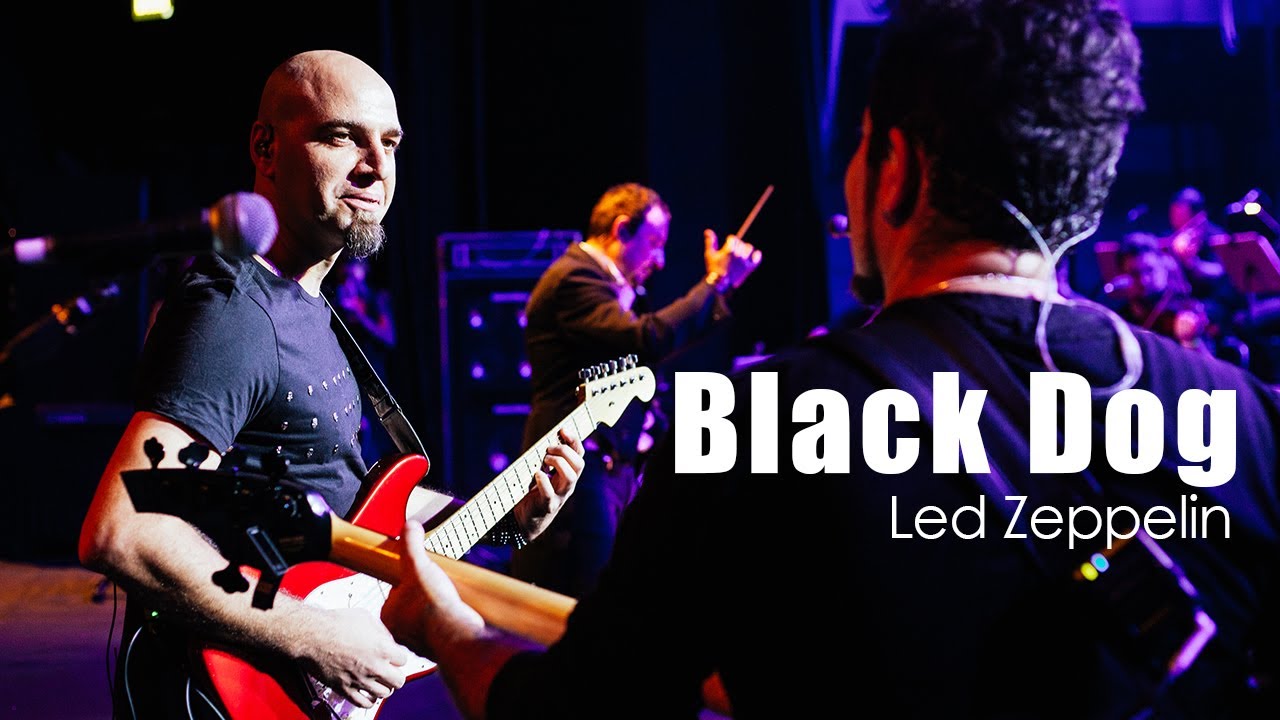Black Dog - Led Zeppelin (Versão Orquestra Rock) - YouTube