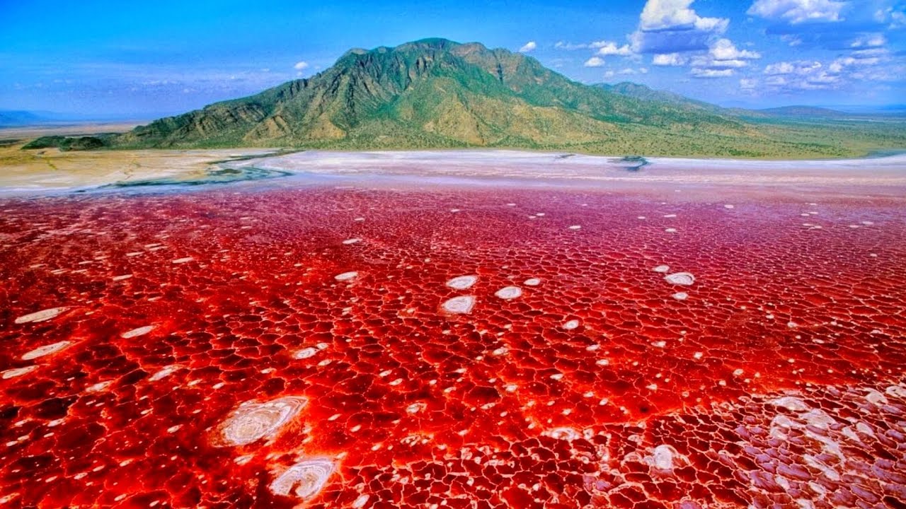 5 MOST SURPRISING AND LITTLE-KNOWN NATURAL PHENOMENA | Wonders Of ...